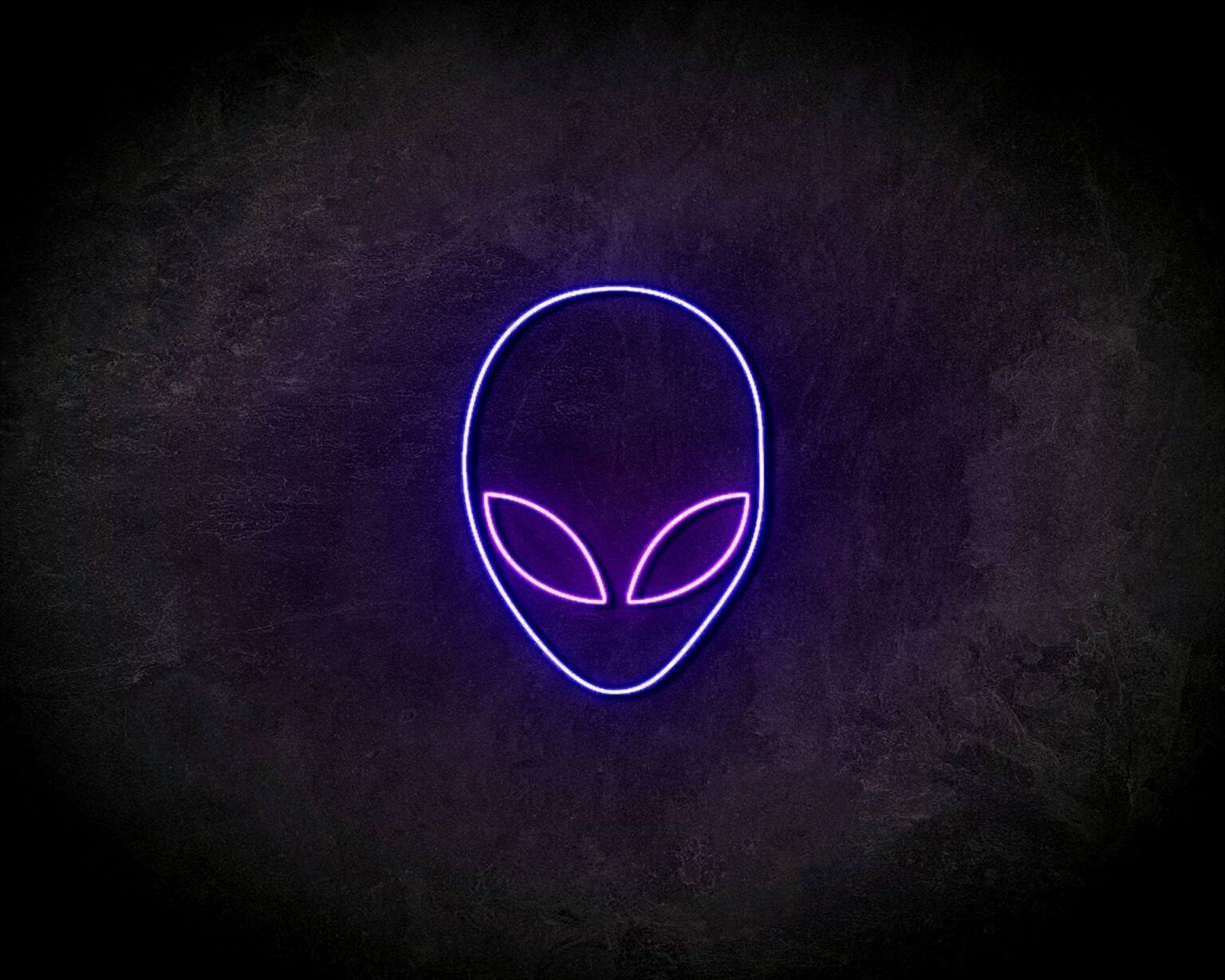 Check out our wide NEON collection | The Neon Company